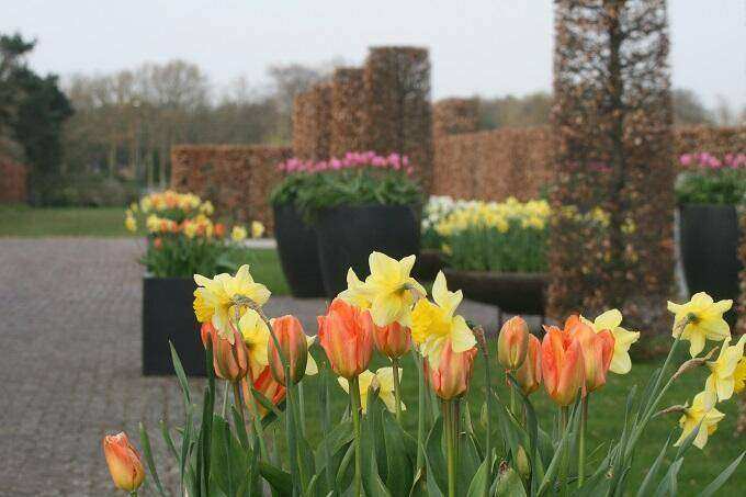 ‘The very first signs of spring’ – De Tuin in vier seizoenen