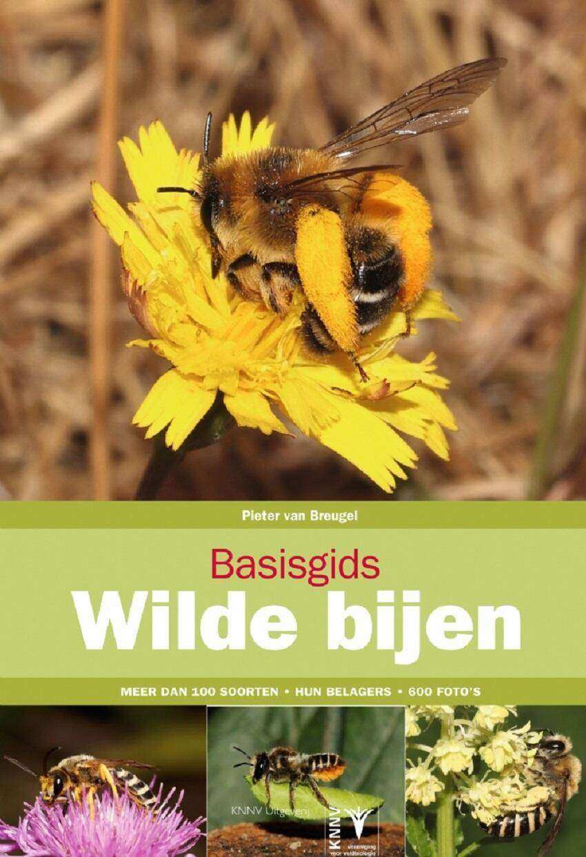 Basisgids Wilde bijen – De Tuin in vier seizoenen