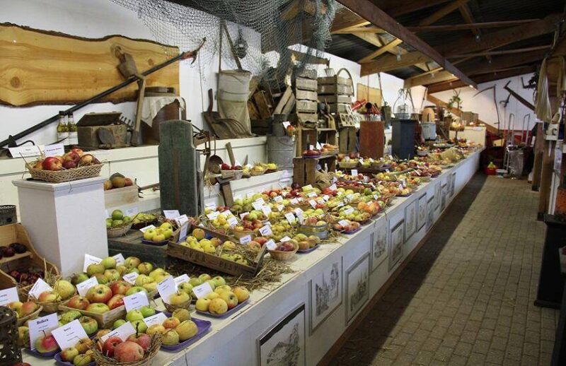 Fruitshow Museumtuin ’t Olde Ras – De Tuin in vier seizoenen