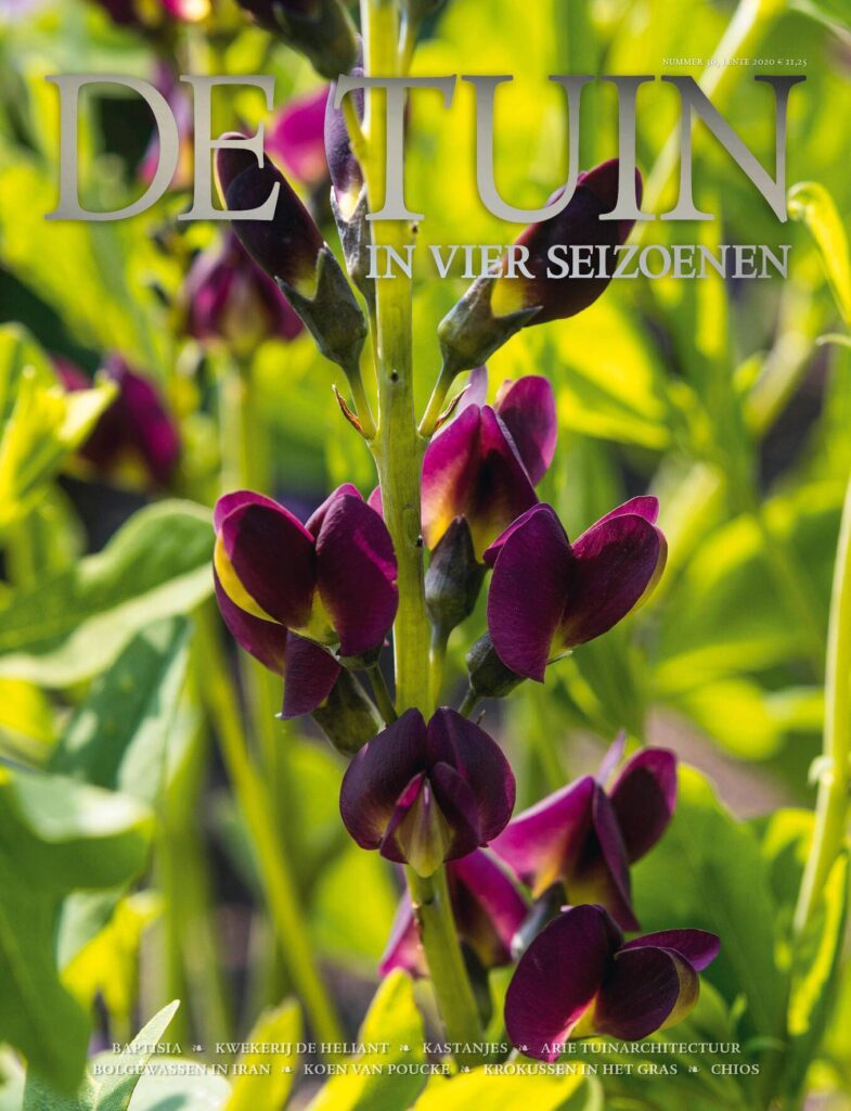De Tuin in vier seizoenen – Tijdschrift voor de echte tuin- en ...