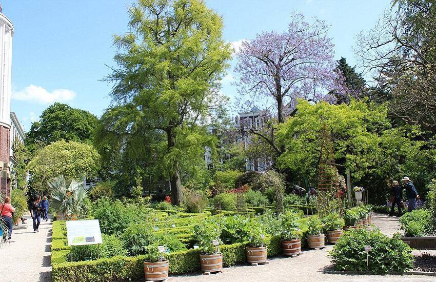Haal de Hortus in huis – De Tuin in vier seizoenen