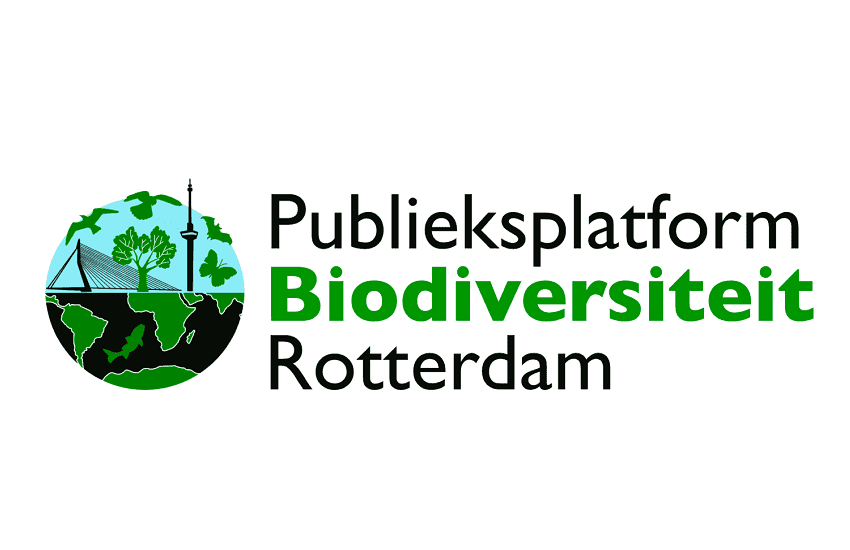 Meer biodiversiteit in Rotterdam – De Tuin in vier seizoenen
