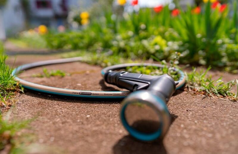 Sterke slangen leven langer – De Tuin in vier seizoenen