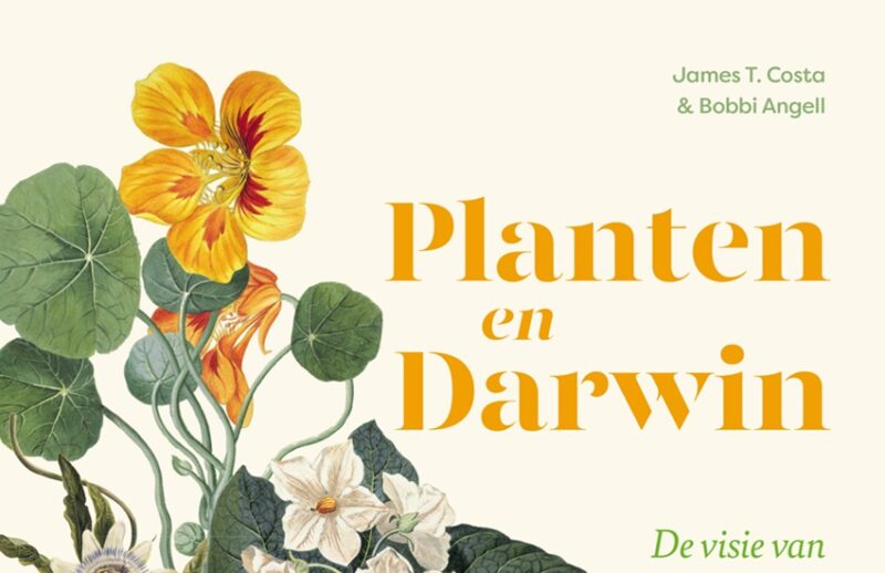 Nieuws – De Tuin in vier seizoenen